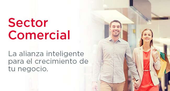 Sector Comercial