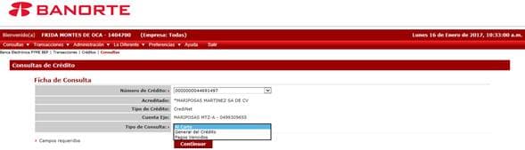 Deberás seleccionarel número de crédito a consultar, elegir el tipo de ...
